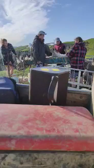 Electronic Docking Iron - Full Kit – EDI